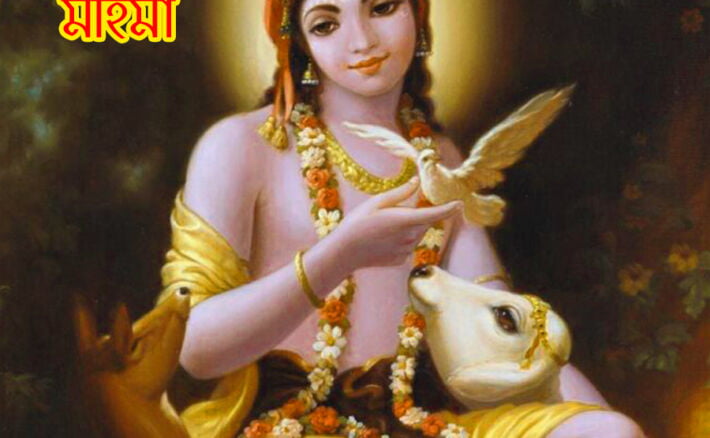 Home - SND Devotional