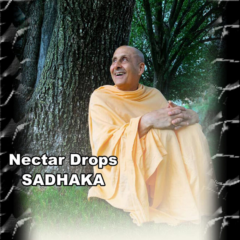 Home | SND Devotional