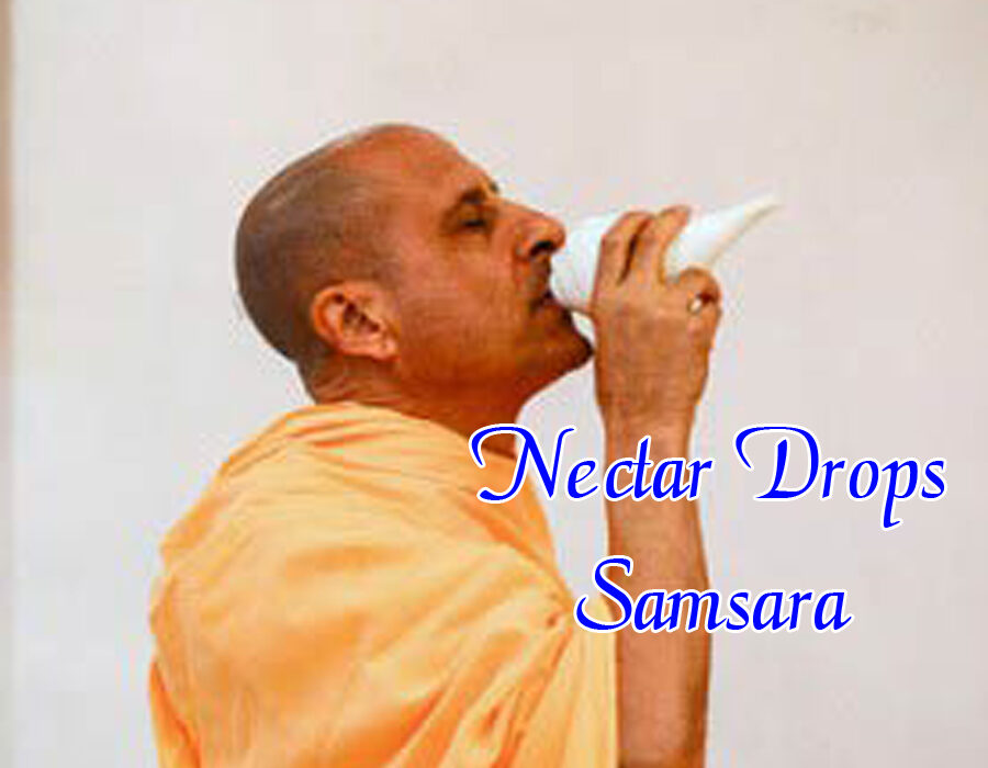 Nectar Drops-Samsara | SND Devotional